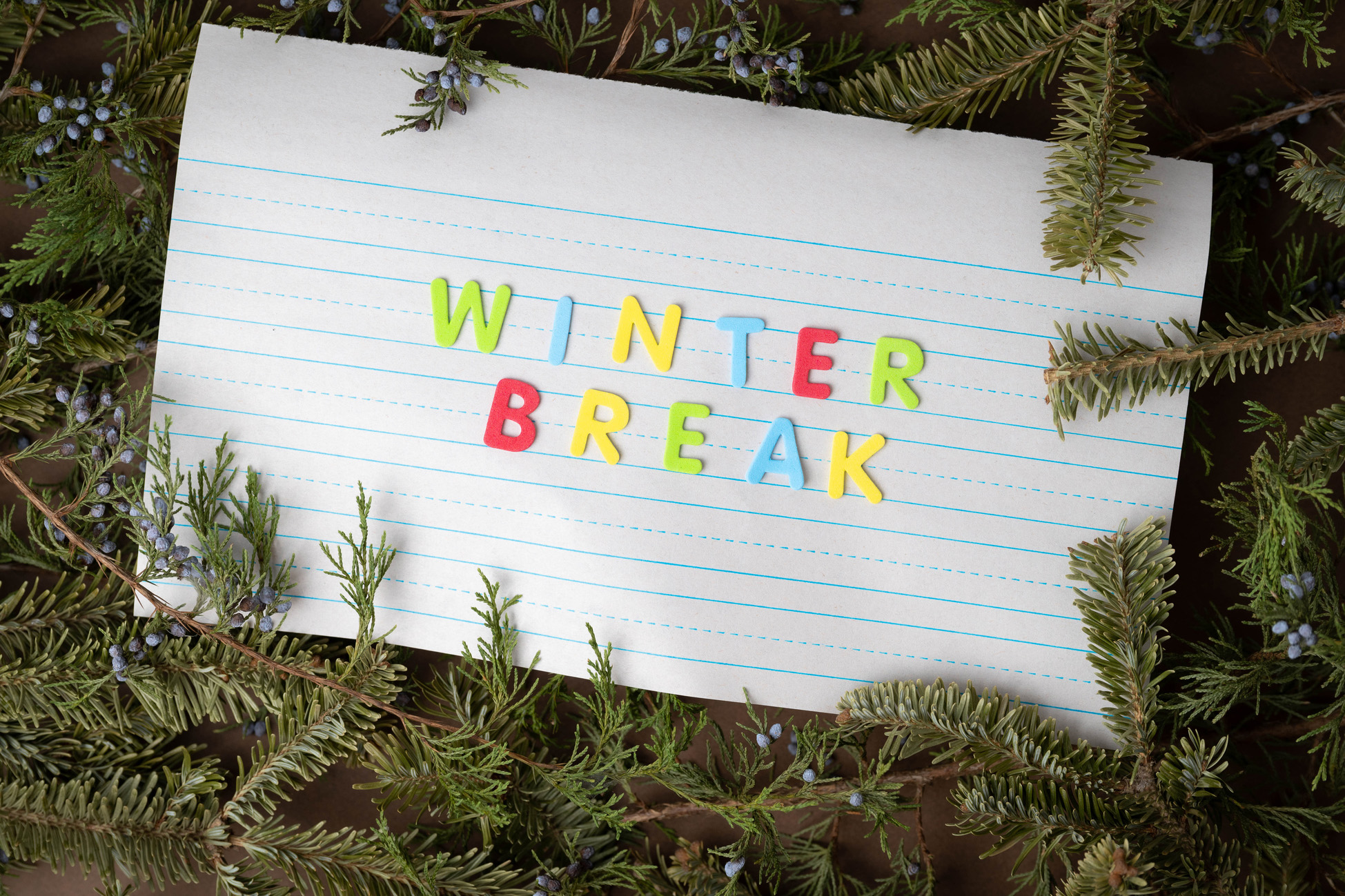 Knights' Notes - Friday, December 19, 2025 - Queen Elizabeth High School